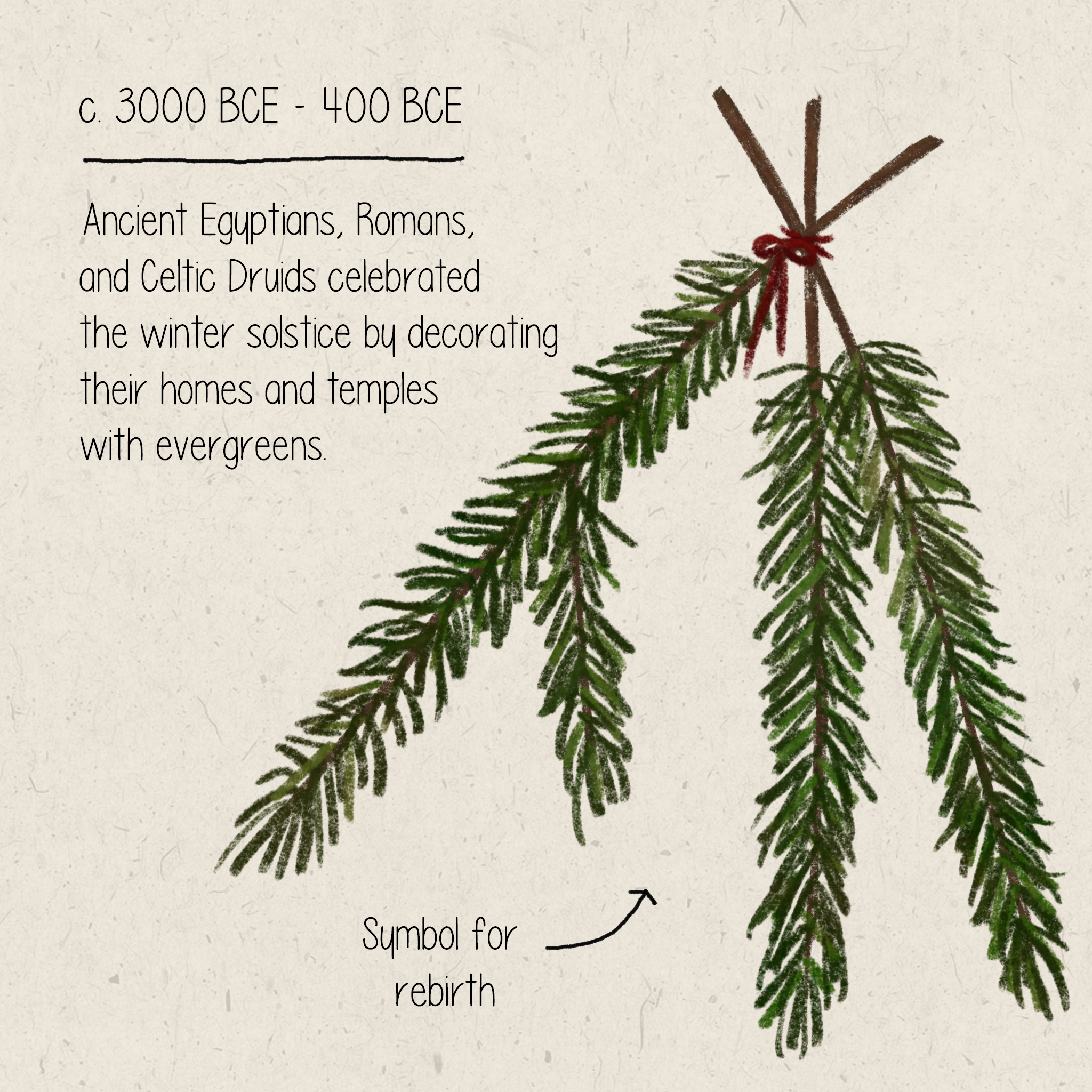 The Evolution Of Evergreens: A Symbol Of Life – Islamimommy